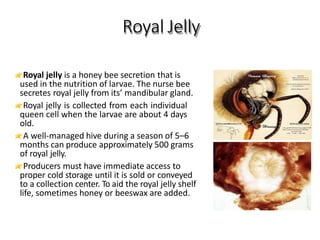 bee products.pptx bee products of bee and their product | PPTX