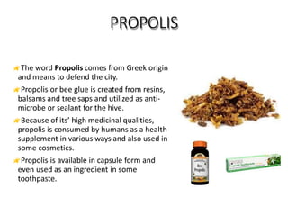 bee products.pptx bee products of bee and their product | PPTX
