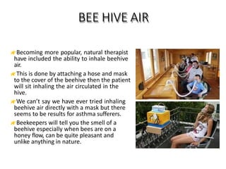 bee products.pptx bee products of bee and their product | PPTX