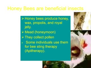 bee products.pptx bee products of bee and their product | PPTX