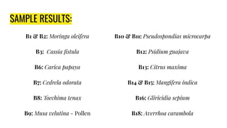 Bee project dna barcoding | PDF