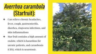 Bee project dna barcoding | PDF