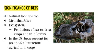 Bee project dna barcoding | PDF