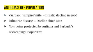 Bee project dna barcoding | PDF