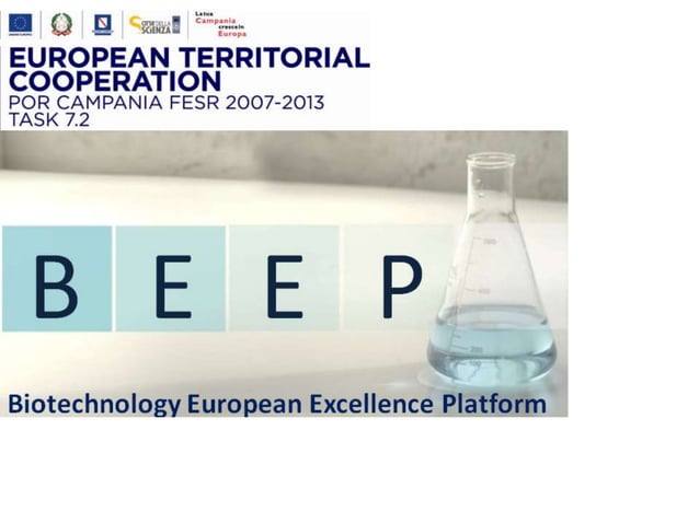 BEEP European Territorial Cooperation | PPT