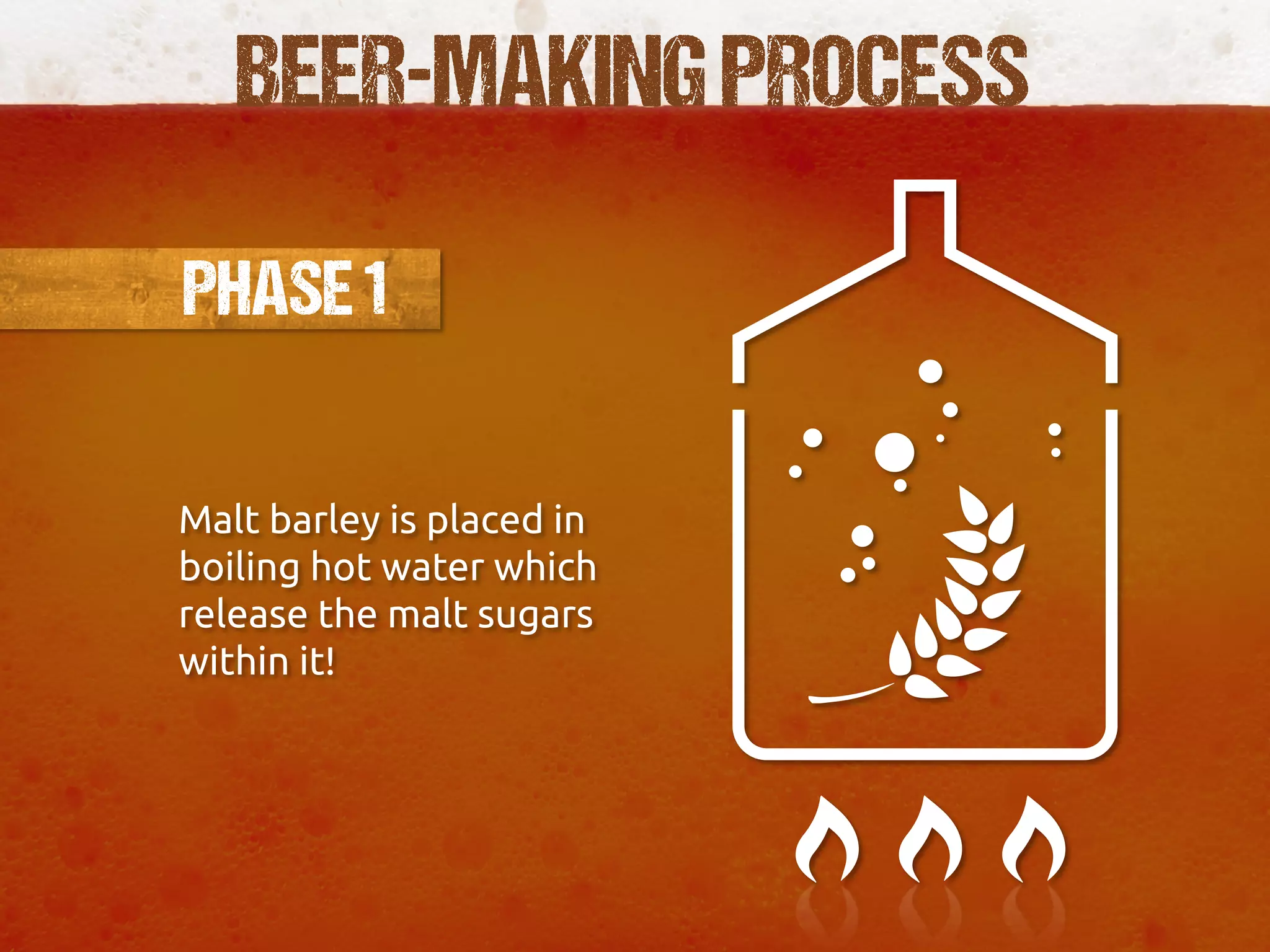 How Beer Is Made Presentation | PDF