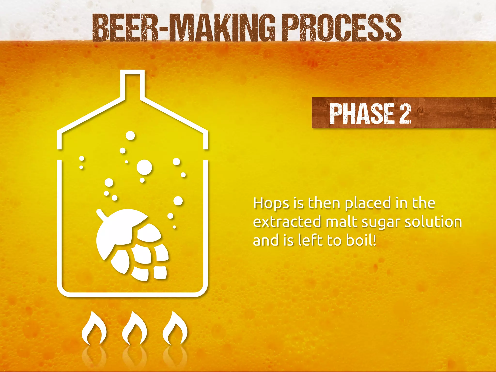 How Beer Is Made Presentation | PDF