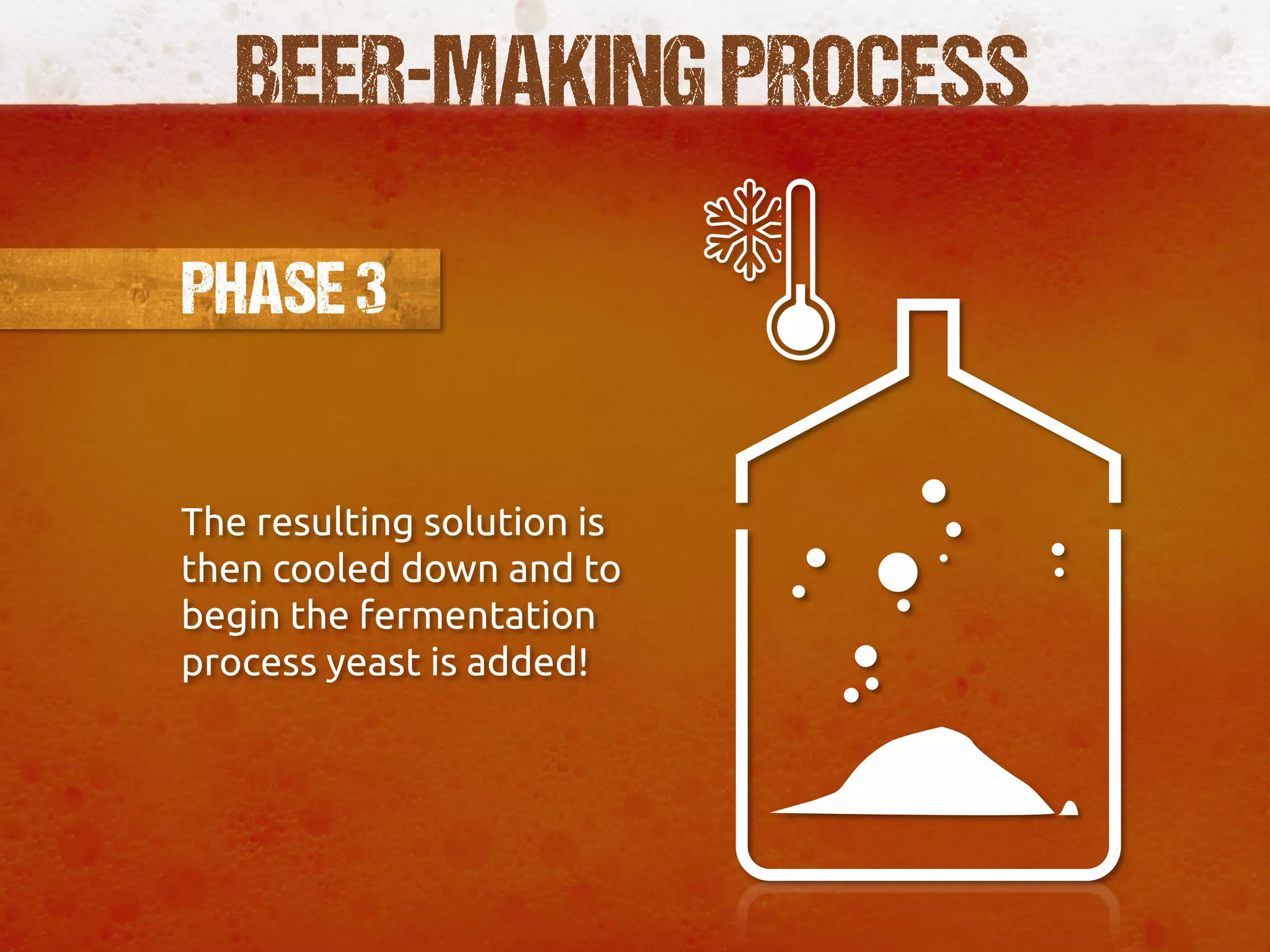 How Beer Is Made Presentation | PDF