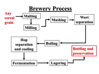 Beer | PPT