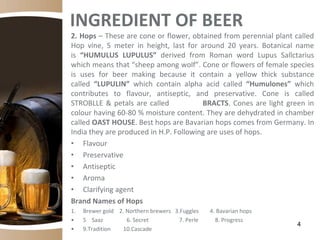 BEER | PDF