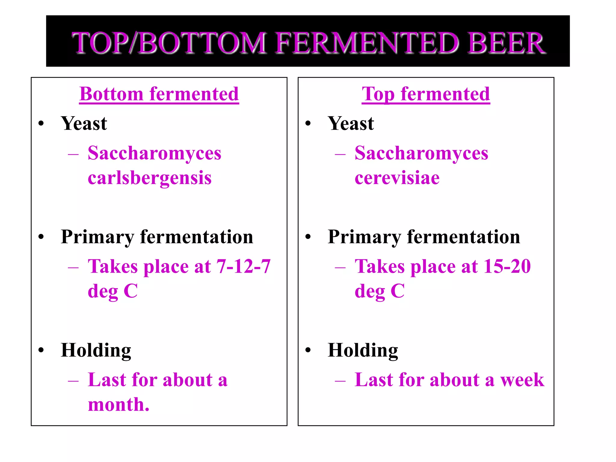 Beer.ppt