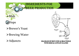 Beer types, production &spoilage | PDF