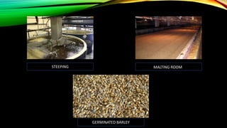 Beer and its processing | PPTX | Alcoholic Beverages | Food & Drink