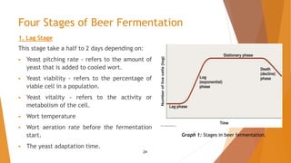 Yeast Fermentation Beer