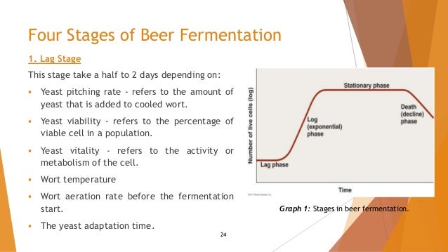 Beer fermentation