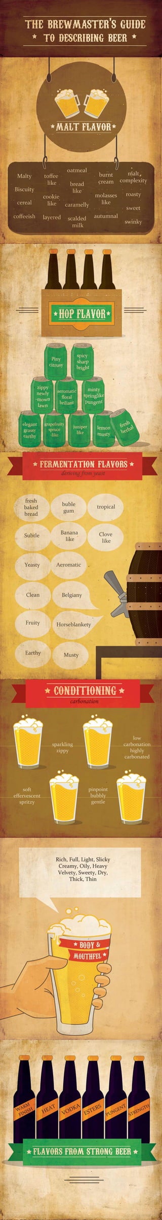 Beer infographic | PDF