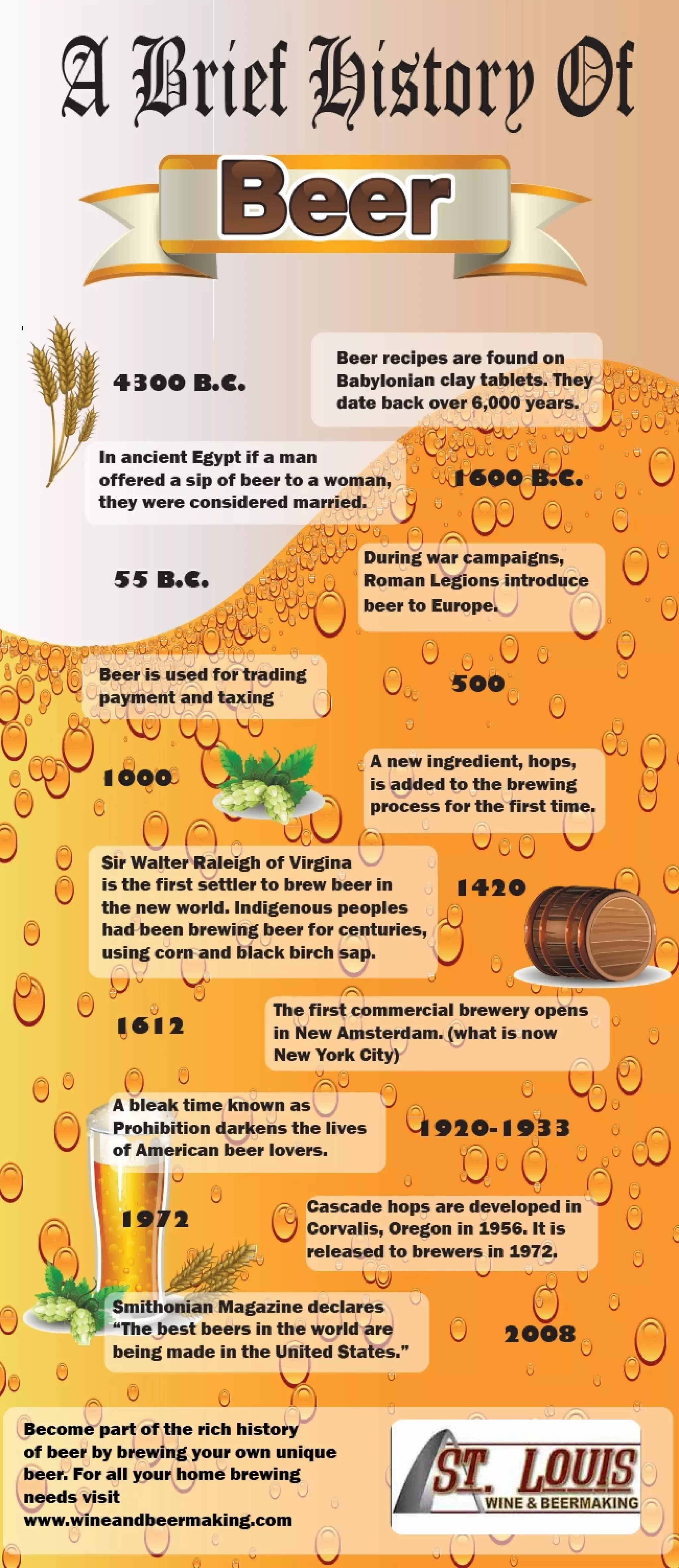 Beer infographic | PDF