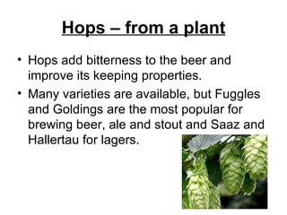 Beer making | PPT