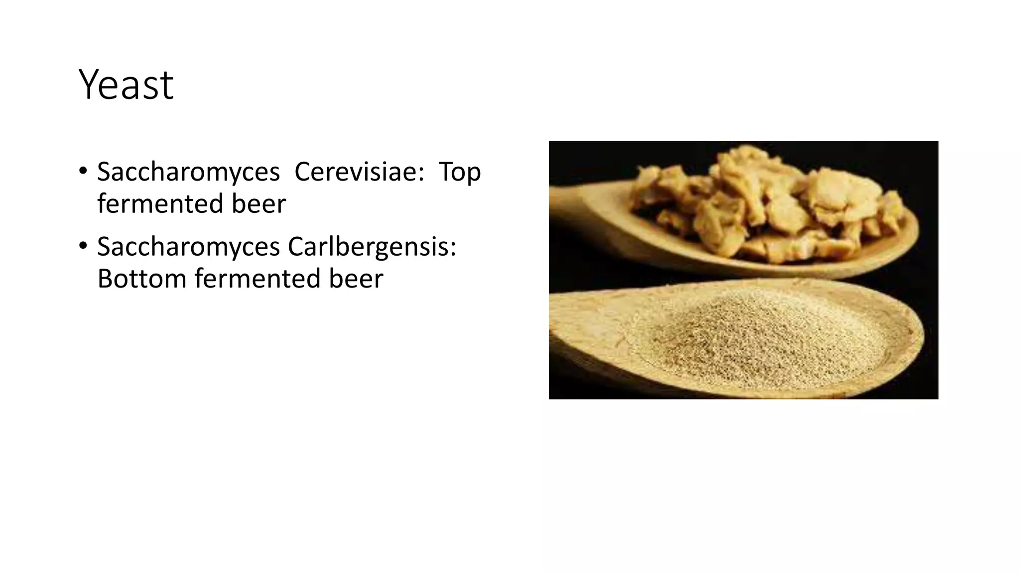 Beer | PPTX