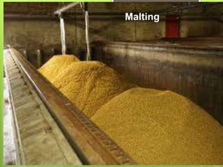 Beer production, By -Kalpana Wagh | PPTX