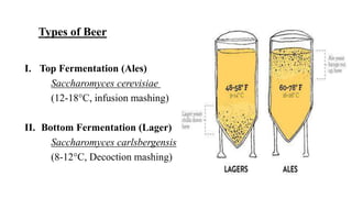 Beer production | PPTX
