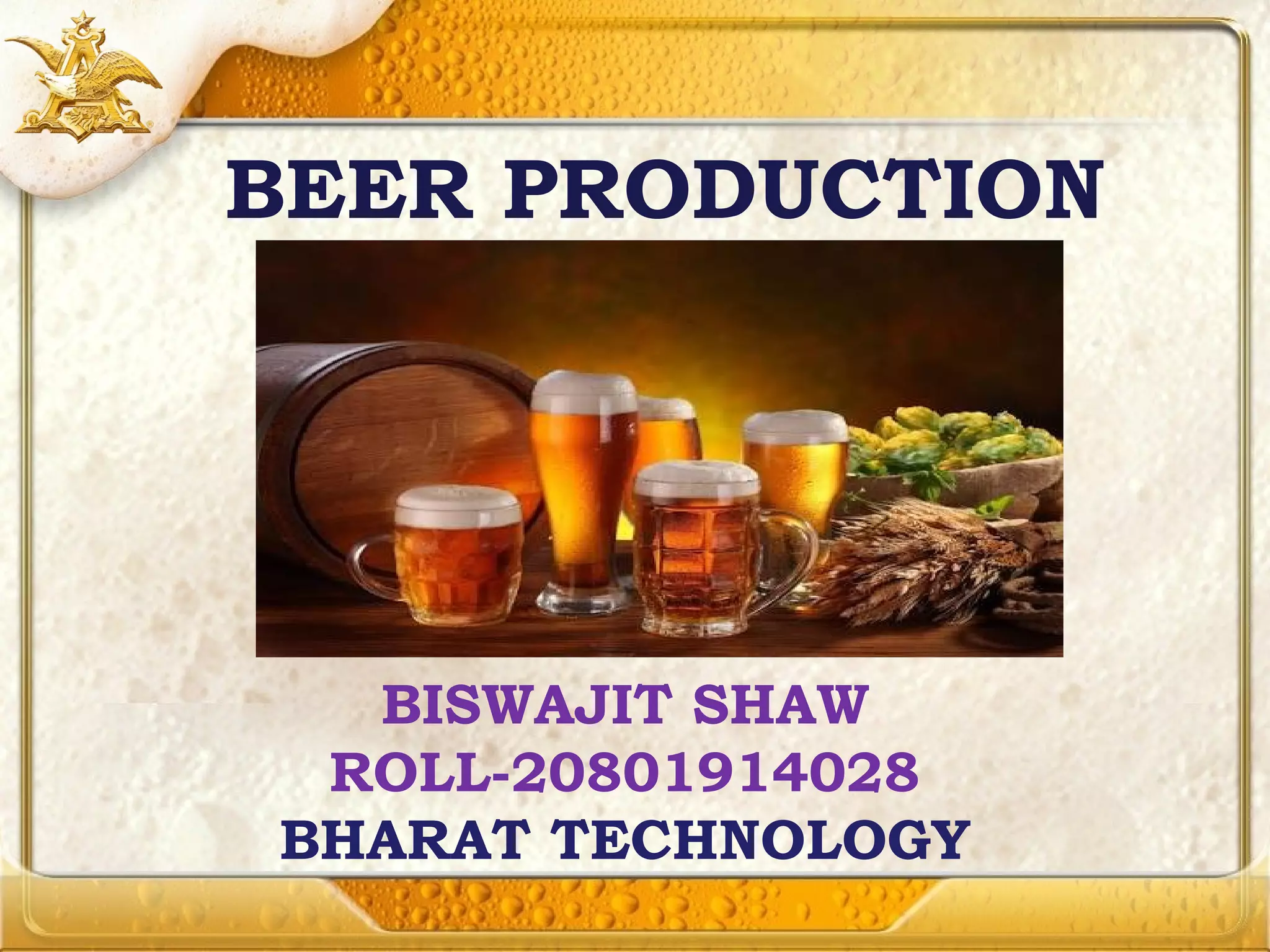 beer production.pdf