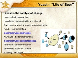 beer production.pdf