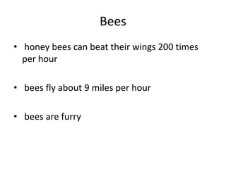 Bees | PPT