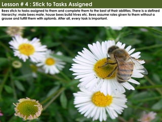 Lessons from the Tiny Bees 110517042711-phpapp01 | PPSX