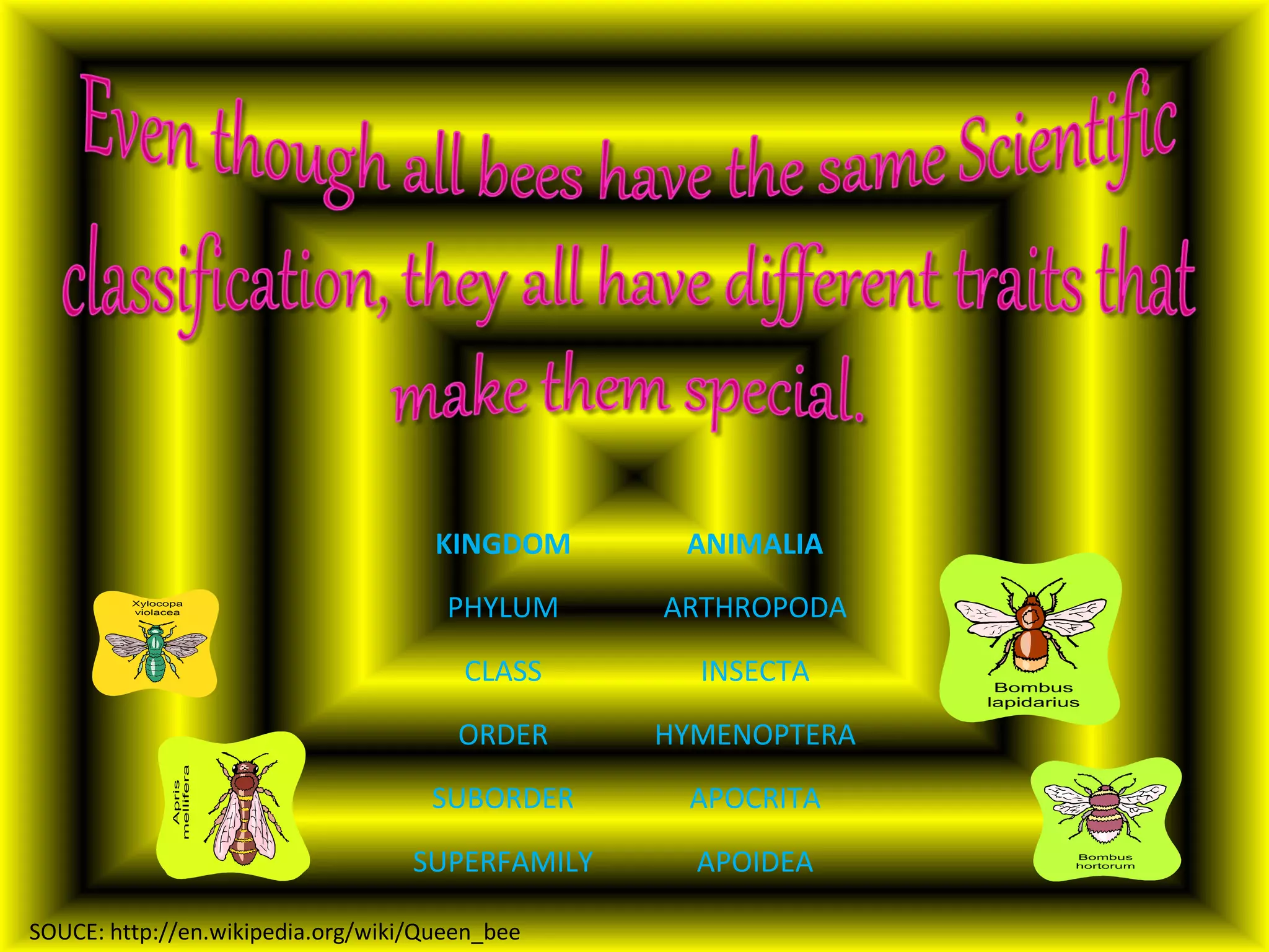 Bees PowerPoint | PPT