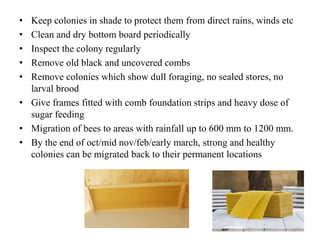 BEES: seasonal management of honey Bees.pptx