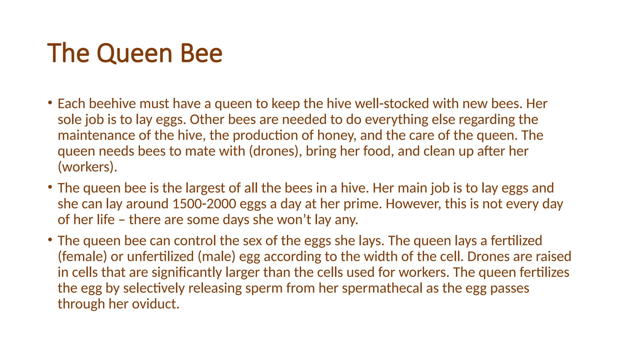 All about bees here, their importance in the world | PPTX