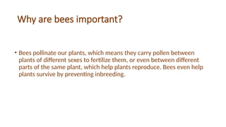 All about bees here, their importance in the world | PPTX
