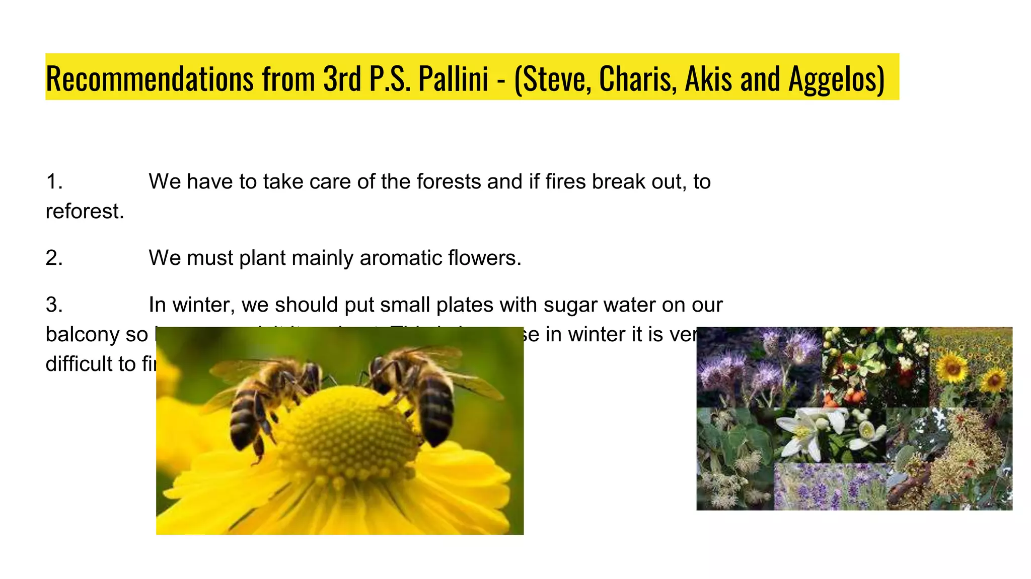 Bees are disappearing.pptx