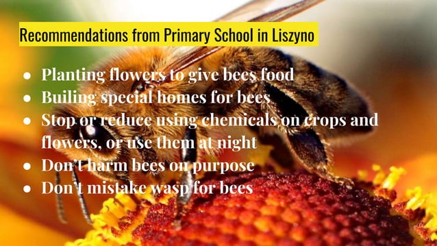 Bees are disappearing.pptx