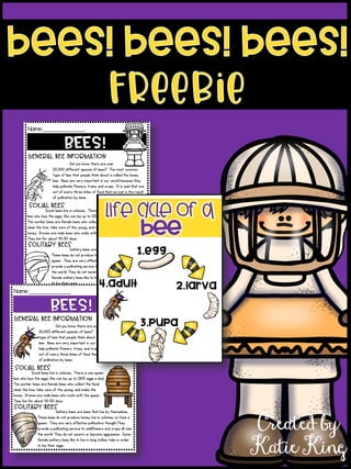 Bees beesbeesfreebie | PDF