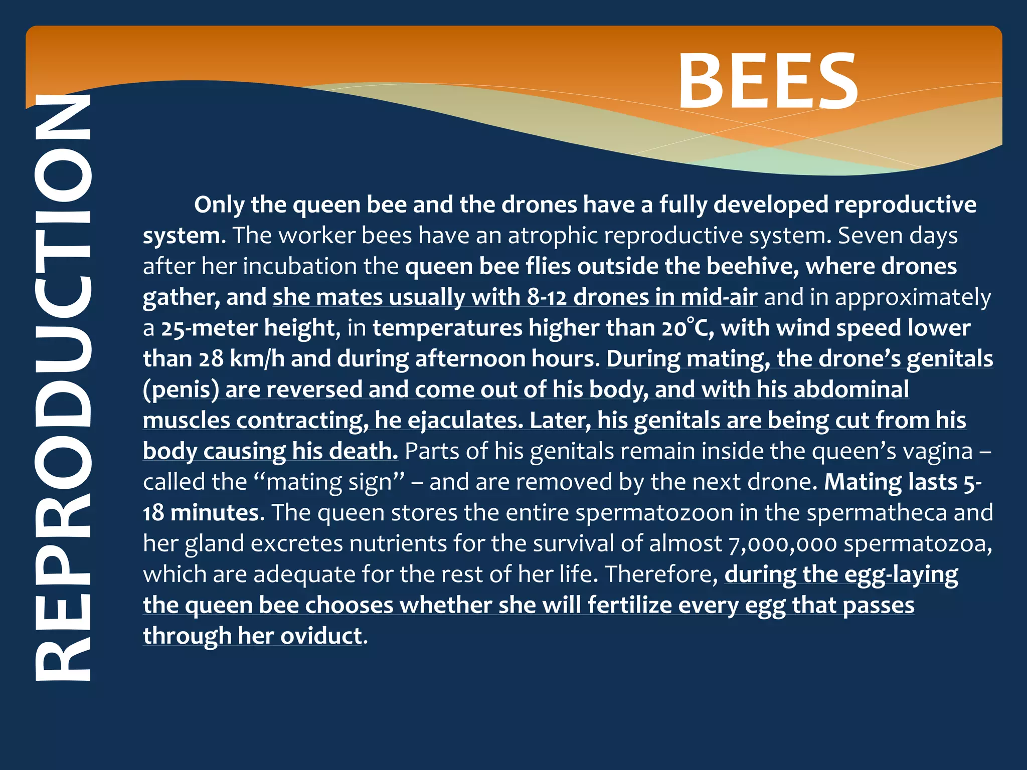 Bees nutrition and reproduction | PPTX