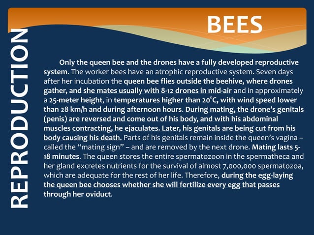 Bees nutrition and reproduction | PPTX