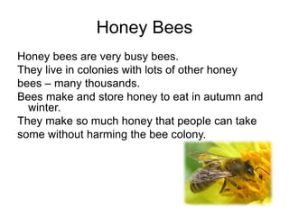Bees powerpoint all about bees for 1.1.ppt