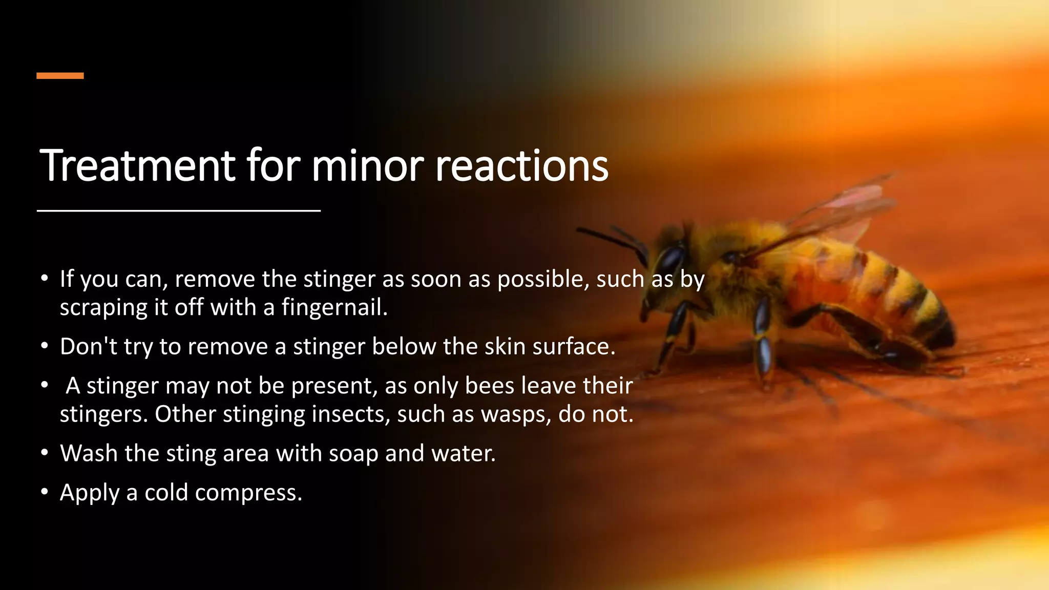Bee sting MANAGEMENT | PPTX