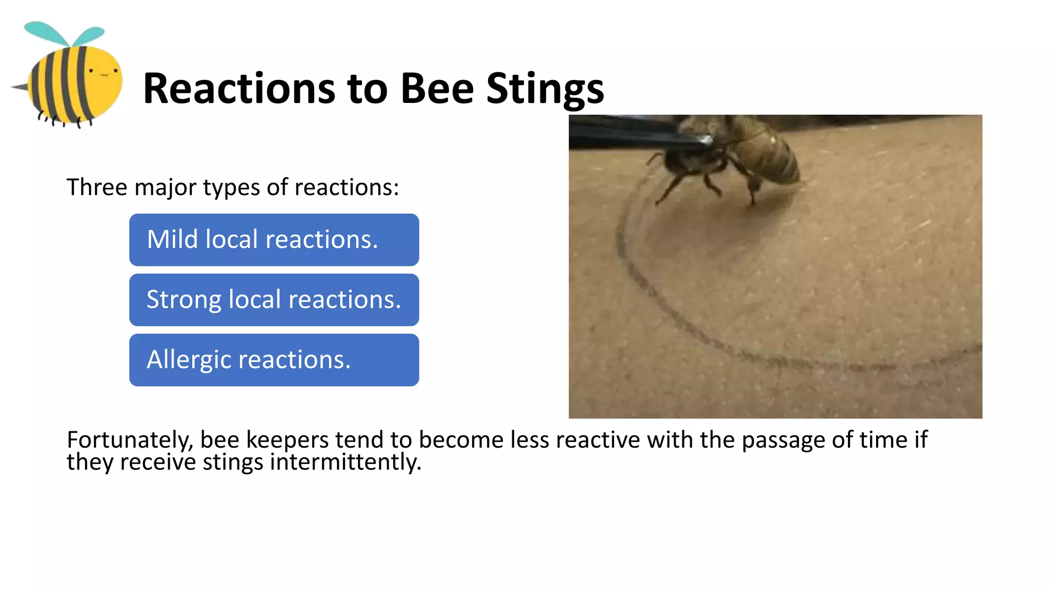 Bee sting MANAGEMENT | PPTX