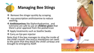 Bee sting MANAGEMENT | PPTX