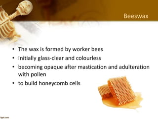 Beeswax used for repairing damaged dry human bones | PPTX