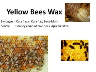 bees wax.pptx