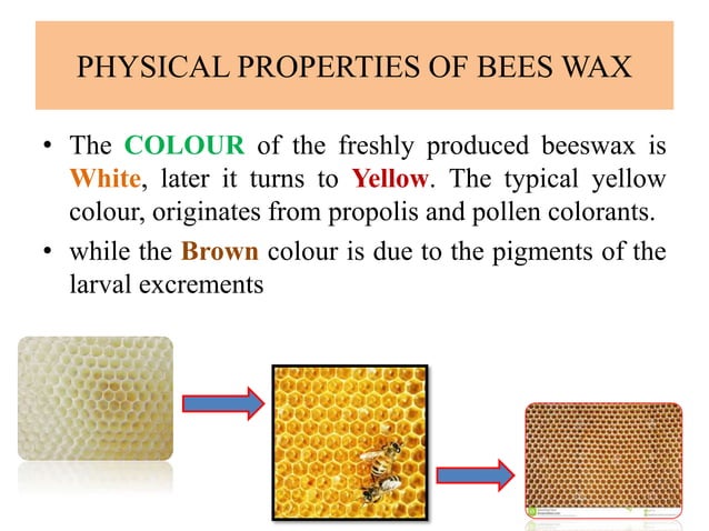 Beeswax properties and composition | PPTX | Beekeeping | Hobbies ...