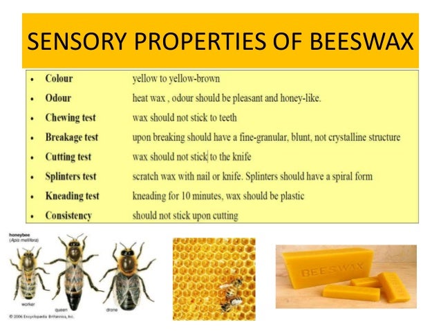 Beeswax properties and composition