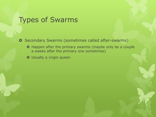 Bees Week 4 - Queens, Hive Splitting and Swarms of Honey Bees | PPTX