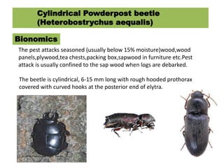 Dung Beetle Identification Chart Part Black From The Australian Beetle ...
