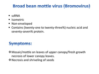 Beetle transmitted viruses | PPTX
