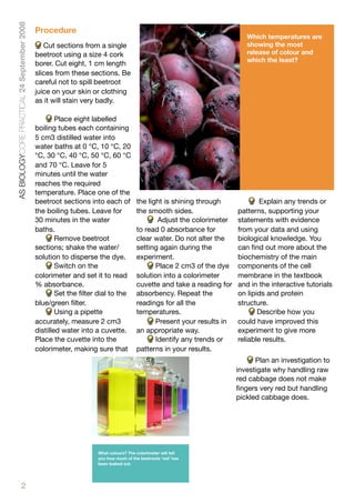 Beetroot | PDF